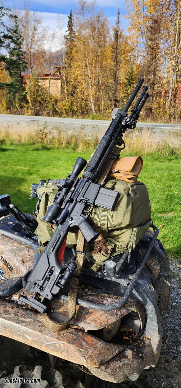 Armalite Super Sass Firearms Palmer Guns Alaska Classifieds Buy Sell Trade Firearms